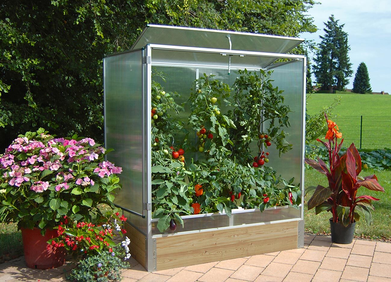 Pflanzenhaus beim Spezialisten online kaufen - Beckmann