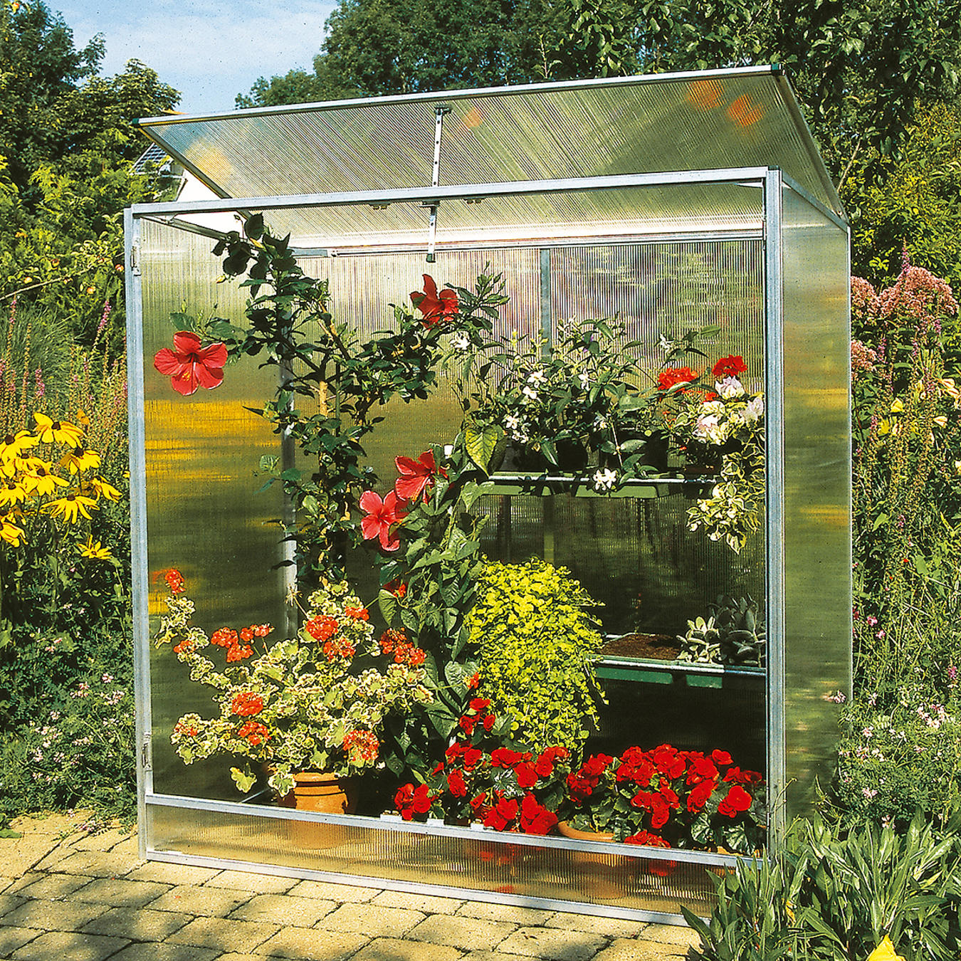 Pflanzenhaus Modell 1 160 x 77 x 162 cm mit 6 mm Stegdoppelplatten ...